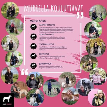 MURRE-REKRY